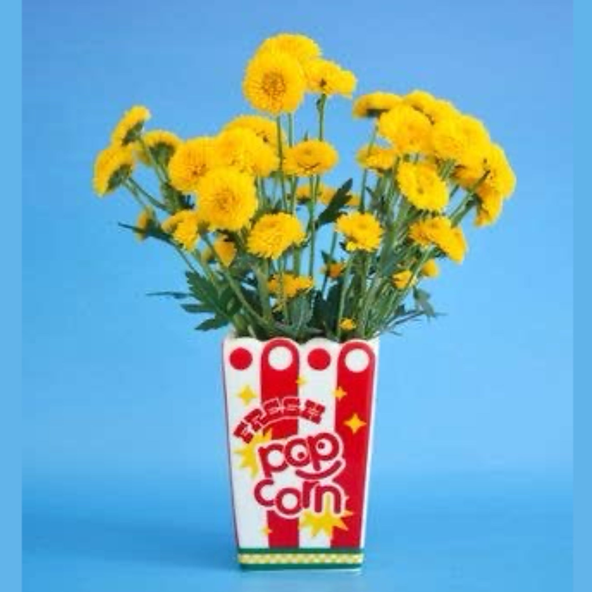 Popcorn Ceramic Vase – Maple Layne Market